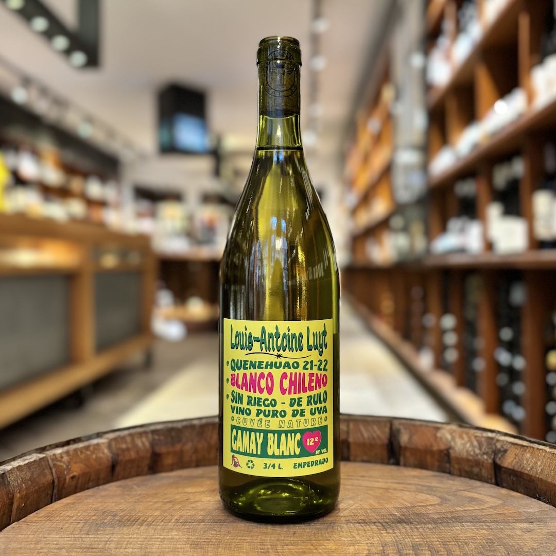 Louis Antoine Luyt Gamay Blanc 2022 » CHABROL WINES